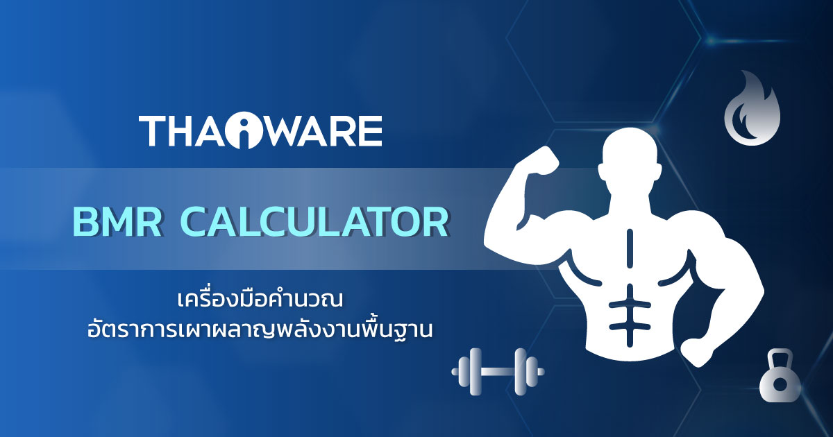 เครื่องมือคำนวณอัตราการเผาผลาญพลังงานพื้นฐาน (BMR Calculator Tools)